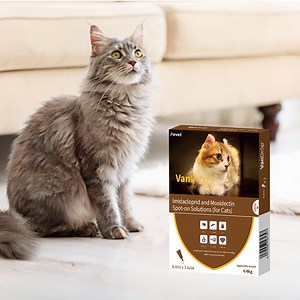 [Hot Item] Easy to Administer Spreads Through Sebum Pet Dewormer Imidacloprid   Moxidectin for Cat