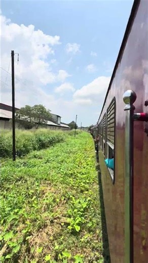 Diesel electrical multiple unit DEMU evening train 🚊 travel #train