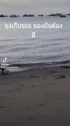 Coco Bear สาขา 3 บน TikTok