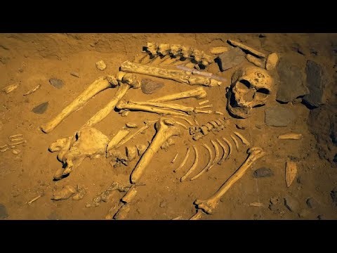 Neanderthal Funerals: Not What You Think!