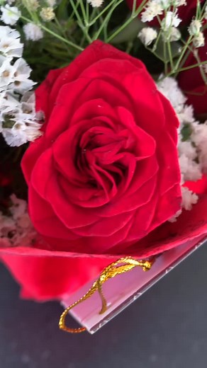 Red roses bouquet in wanawadi NIBM Kondhwa Pune | Petals N Buds