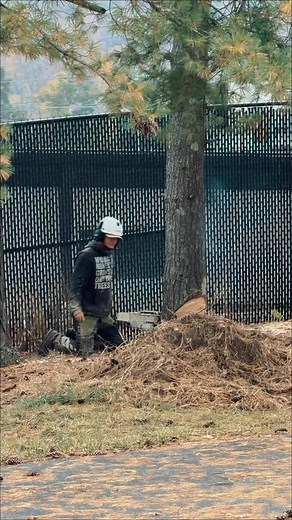 We don’t talk about it, we just get it done. 漢 #TreeService #Arborists #Trees #Rigging #Climbing | Roberts' Tree Experts, LLC. | Facebook