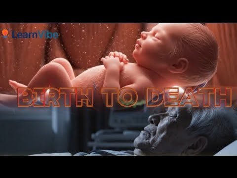 The Cycle of Life Birth to Death | lifecycle |life journey