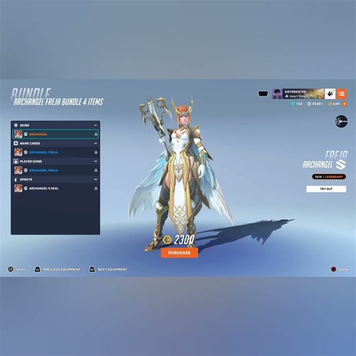 Overwatch 2: Archangel Freja Skin🪽