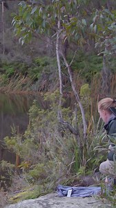 Young platypus healed and returned home ✨ After 11 weeks of specialist care at Taronga, a young platypus has been released back into the Blue Mountains National Park, close to where he was found injured in Hazelbrook in late April. This little one was lucky! Thanks to the quick action of a concerned member of the public, WIRES volunteers, and Blaxland Veterinary Clinic, he was transferred to Taronga Wildlife Hospital for specialised treatment, followed by 10 weeks of careful rehabilitation under
