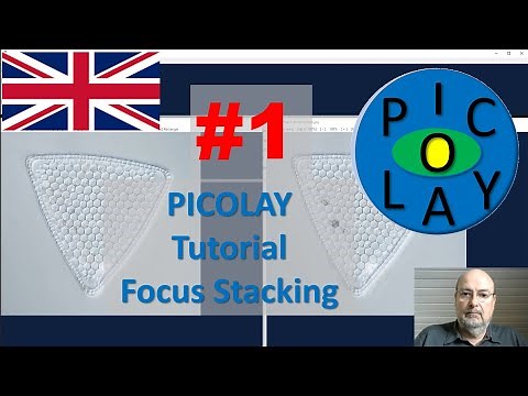 Focus stacking of a diatom and image retouching, PICOLAY Tutorial #1: