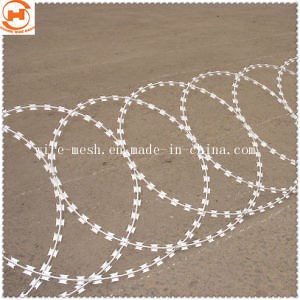 [Hot Item] Flat Wrap of Concertina Razor Wire