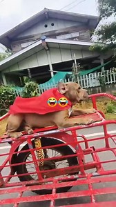 #reelsviralシfb #monetization | Kelvin Lima Jr.