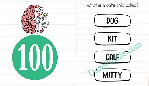 Brain Test Level 100 What is a cat’s child called