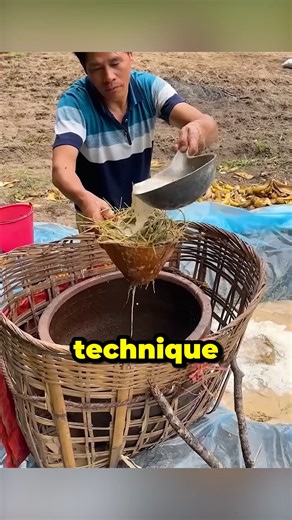 Traditional method of extracting juice from banana by pressing it in the soil | Mr.story.en