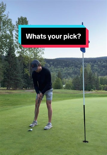 What’s your pick? ⛳️🏌️‍♂️#golf #golfswing | golf swing