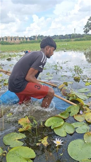 Traditional Village Boy Net Fishing in Bill #fishing #fishingtrap #netfishing