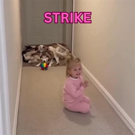 ESTATE SALES ARE OUR BUSINESS Contact us 352-206-0406 Tampa Bay Area Florida http://legacyestatesolutions.com #TampaBay #estatesales #dadecity #newportrichey #lutzflorida #springhillflorida #wesleychapel #zephyrhillsflorida #landolakesfl | Legacy Estate Solutions