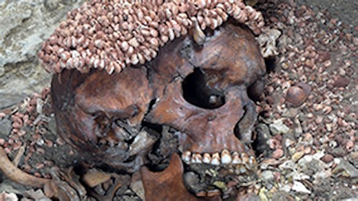 Ice Age ‘Prince’ mauled by cave bear, study reveals