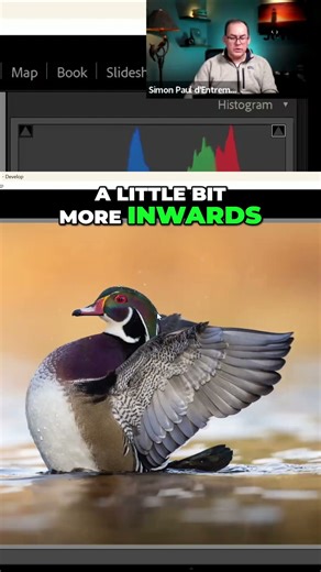 Lightroom Editing Pro Tips to Make Your Photos POP!