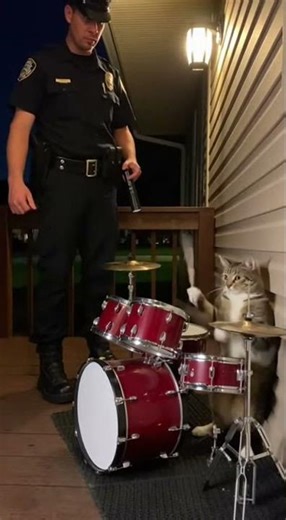 Police Told This Cat to Stop… And Then It Played EVEN LOUDER! 😂🥁