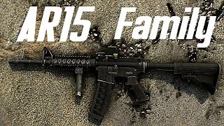 Fallout 4 AR15 Family Showcase