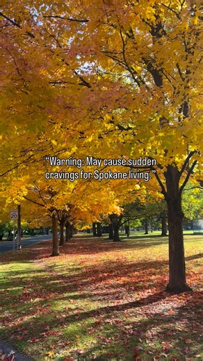 Living in Spokane feels like living inside a dessert sampler — four seasons, all WOW. 🍓 Spring is strawberry shortcake Fresh, bright, and finally sweet again. Cherry blossoms, green trails, rivers rushing, and that first sunny patio day that feels earned. 🍦 Summer is vanilla ice cream with extra toppings - Hot days, cool lakes, boat rides, Hoopfest, farmers markets, sunsets at 9pm, and just enough heat to make jumping in the water feel elite. 🍎 Fall is warm apple pie Golden leaves, crisp morn