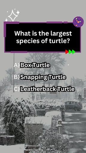 95K views · 1.6K reactions | How many correct answers did you get? 易 #trivia #iq #quiz #quiztimer #riddle #knowledge #generalknowledge #fyp #foryou #fypシ゚viral #puzzle | MasterMind Hub | Facebook