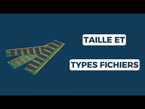 Computer file sizes and types (Course No. 8/12)