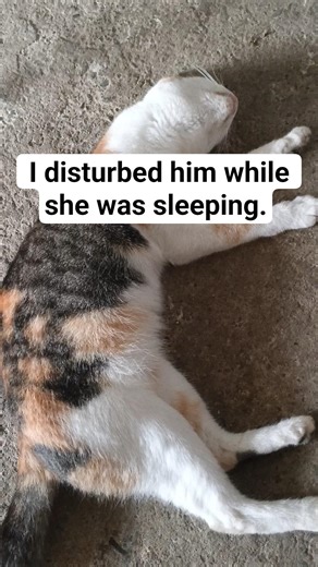 I disturbed him while she was sleeping.