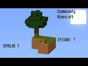 Communauty Minecraft SkyBlock Serveur #1 !