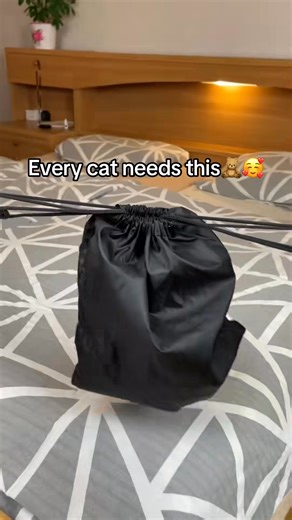 5.3K views · 61 reactions | Every cat needs this.. L1nk in Comments' | Cat Addicted | Facebook