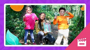 Let's go to the woods - EYFS - Reception - BBC Bitesize