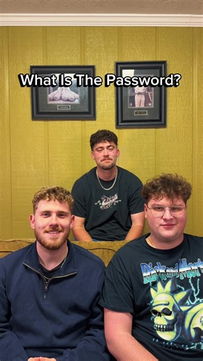 Password! #couchpotatoes #guessinggame #password #fyp