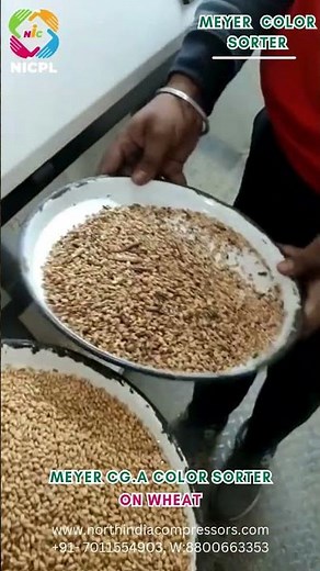 Meyer Color Sorter CG S Model on Wheat Gehu Best Sorting Machine for Wheat Cleaning