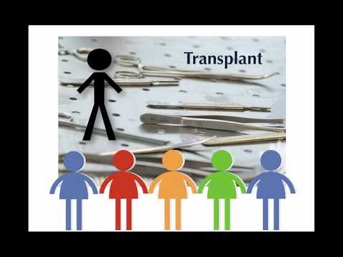 Philippa Foot, Trolley Driver and Transplant Problems