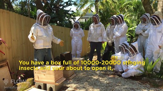 In this edition of Beginner Beekeeping, beekeeping expert and author of “The Practical Beekeeper” Michael Bush, shows the Flow team how to install a package. Click below for the part one of 3 videos and please subscribe to the Flow Hive YouTube channel keep up to date with all the latest video releases. http://bit.ly/1SIZnq7 | Flow Hive