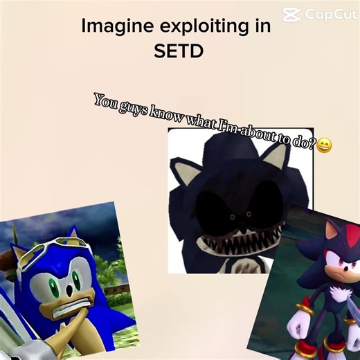 Imagine exploiting in #sonicexethedisasterPLUS