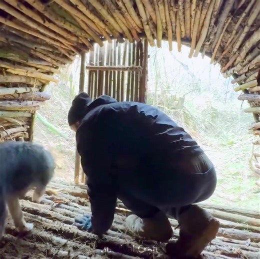 312K views · 5.6K reactions | Bushcraft_ Constructing a Cozy and Warm Survival Shelter at the Base of a Fallen Tree Secret Cave--010 | Survival Craft | Facebook