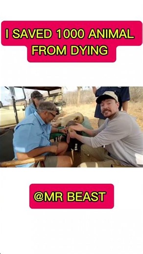 I Saved 1,000 Animals From Dying