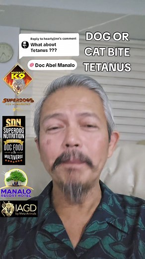 8.6K views · 74 reactions | DOG OR CAT BITE TETANUS Doc Abel Manalo #tetanus #tetano #dogbite #catbite #rabies #rabis #clostridiumtetani #vet | Doc Abel Manalo | Facebook