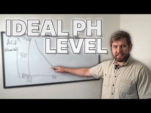 Pool Expert Reveals The PERFECT pH Level