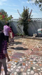 437K views · 2.2K reactions | होली पे जीजा जी Full Form में 藍 | Dr. Upasana Ayurveda | Facebook