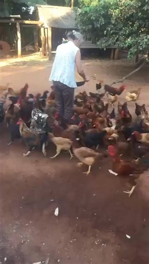 5.7K views · 155 reactions | #systemofadown 落 | 푽풐풍풄풂풏풐 푹풂풅풊풐풔풉풐풘 | Facebook