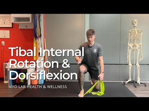 Tibial Internal Rotation & Dorsiflexion