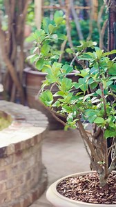 Kelly is BEAMING in the new Cacy Tropical Watercolour Dress! This stunning print by comes in two fabulous dress styles; a mini and a maxi! 💖🌸💙 🚨Shop 20% off EVERYTHING with our Mother’s Day Sale! www.littlepartydress.com.au/collections/new-arrivals | Little Party Dress