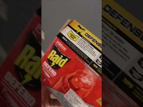 All you need to know about raid foggers and how to use them