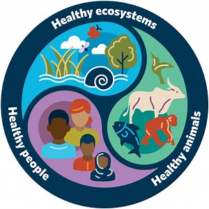 One Health - Eliminating NTDs | Unlimit Health