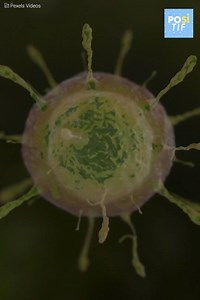 15K views · 69 reactions | Le variant Delta: les mesures que nous...