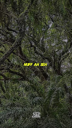 Teejay True Friends Dancehall Recite Concerts Music