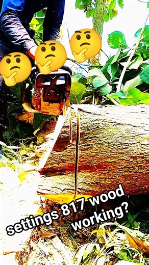 settings 817 wood working! #woodcutting #wood #woodworking #shortsfeed #shorts #stihl #sawblade