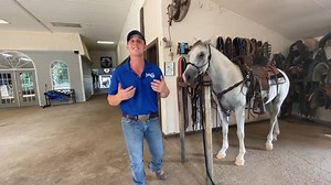 Hey everyone! I've been getting lots of requests on how to properly tie your horse to a hitching post, and I'm here to show you the ropes (pun intended)! Check out my latest video where I walk you through the simple and effective technique of using a clove hitch to secure your horse safely. In the video, I explained why tying your horse to an H post is a game-changer. It provides a barrier between you and your horse, offering protection and allowing you to work with them without worrying about a
