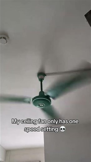 My ceiling fan only has one speed setting #landlordproblems#funny videos #fyp #foryou
