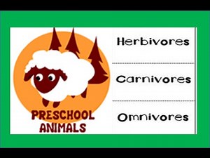 Herbivore Carnivore Omnivore Animals