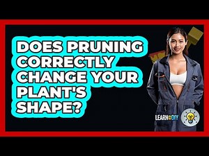 Does Pruning Correctly Change Your Plant's Shape? - LearnToDIY360.com